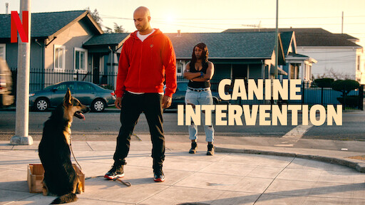 Watch Muster Dogs | Netflix