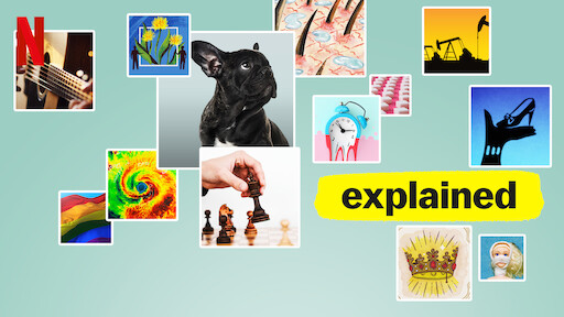 Watch Money, Explained | Netflix Official Site