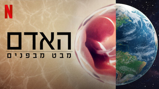 Black Holes | The Edge of All We Know | Netflix