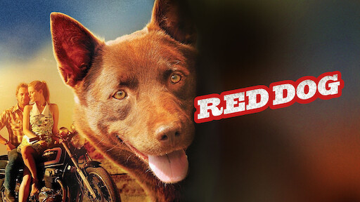 Watch Benji | Netflix Official Site