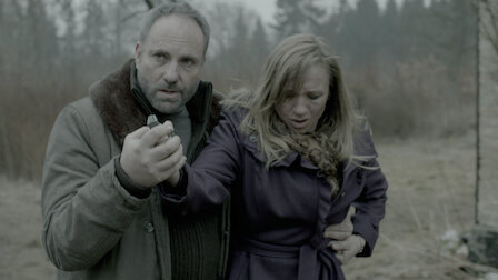 Watch The Bridge | Netflix