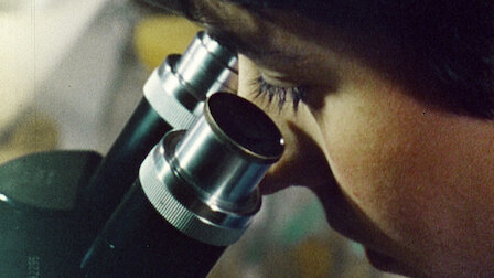 Watch Explained | Netflix Official Site