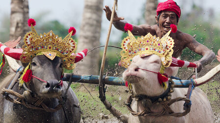 Watch Home Game | Netflix Official Site