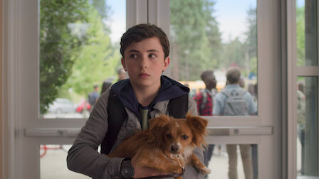 Dude, o Cãopanheiro | Site oficial da Netflix