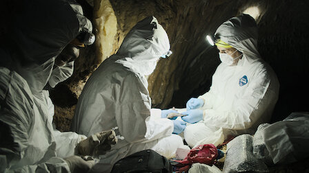 Watch Pandemic: How to Prevent an Outbreak | Netflix Official Site