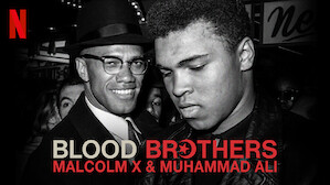 Historical Documentaries | Netflix Official Site